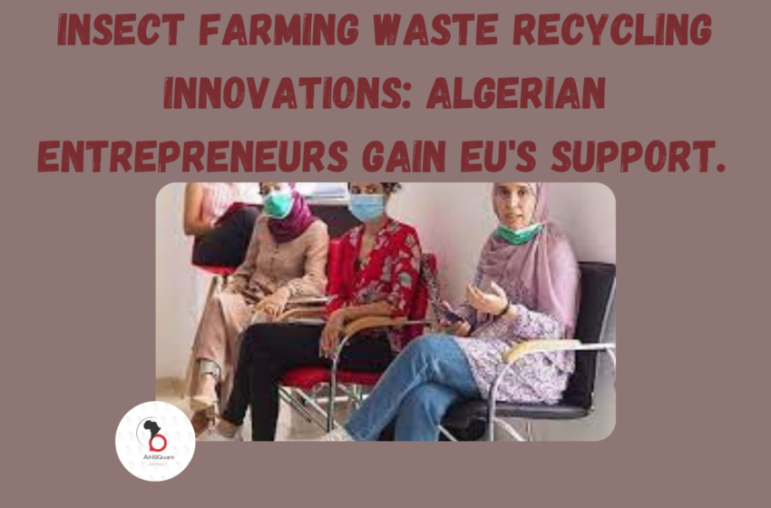 Insect Farming Waste Recycling Innovations: Algerian Entrepreneurs Gain EU’s Support. - AfriSQuare
