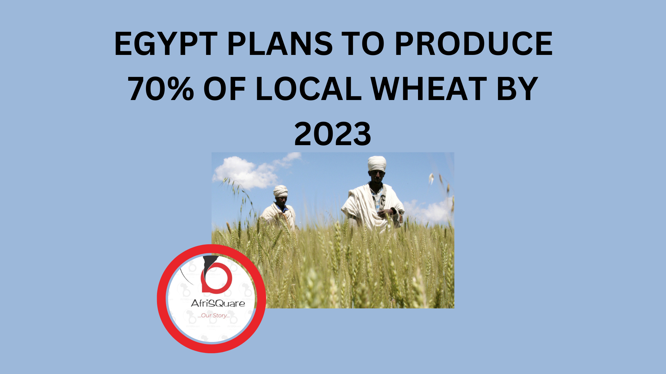 EGYPT PLANS TO PRODUCE 70% OF LOCAL WHEAT BY 2023 – AfriSQuare